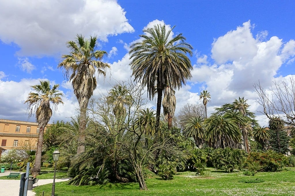 Jardin Botanique de Rome : Que faire et voir lors d’une visite