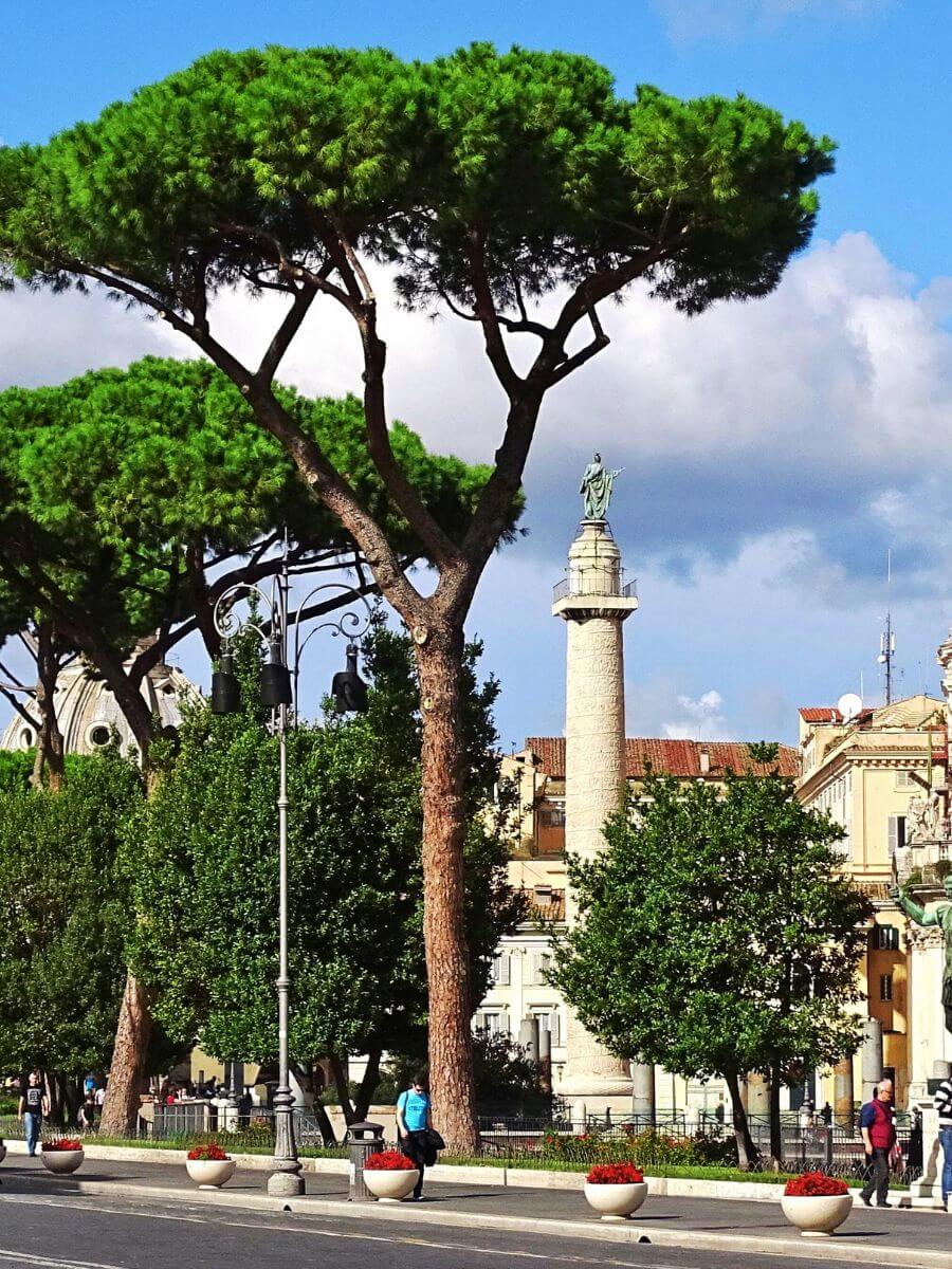 Colonne Trajane Rome : histoire, accès et conseils de visite